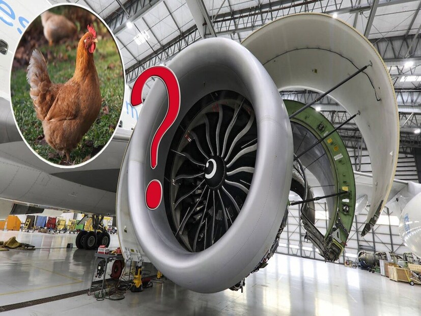 Flight Engine:ವಿಮಾನ ಟೇಕಾಫ್‌‌ಗೂ ಮುನ್ನ ಇಂಜಿನ್‌ಗೆ ಸತ್ತ ಕೋಳಿ ಎಸೆಯೋದ್ಯಾಕೆ ...