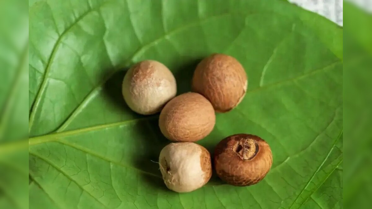 Supari: ಸುಪಾರಿ ಕೊಡೋದು ಅಂದ್ರೆ ಏನು ಗೊತ್ತಾ? ಇದು ಹುಟ್ಟಿಕೊಂಡಿದ್ದು ಯಾವಾಗ, ಇದರ ...