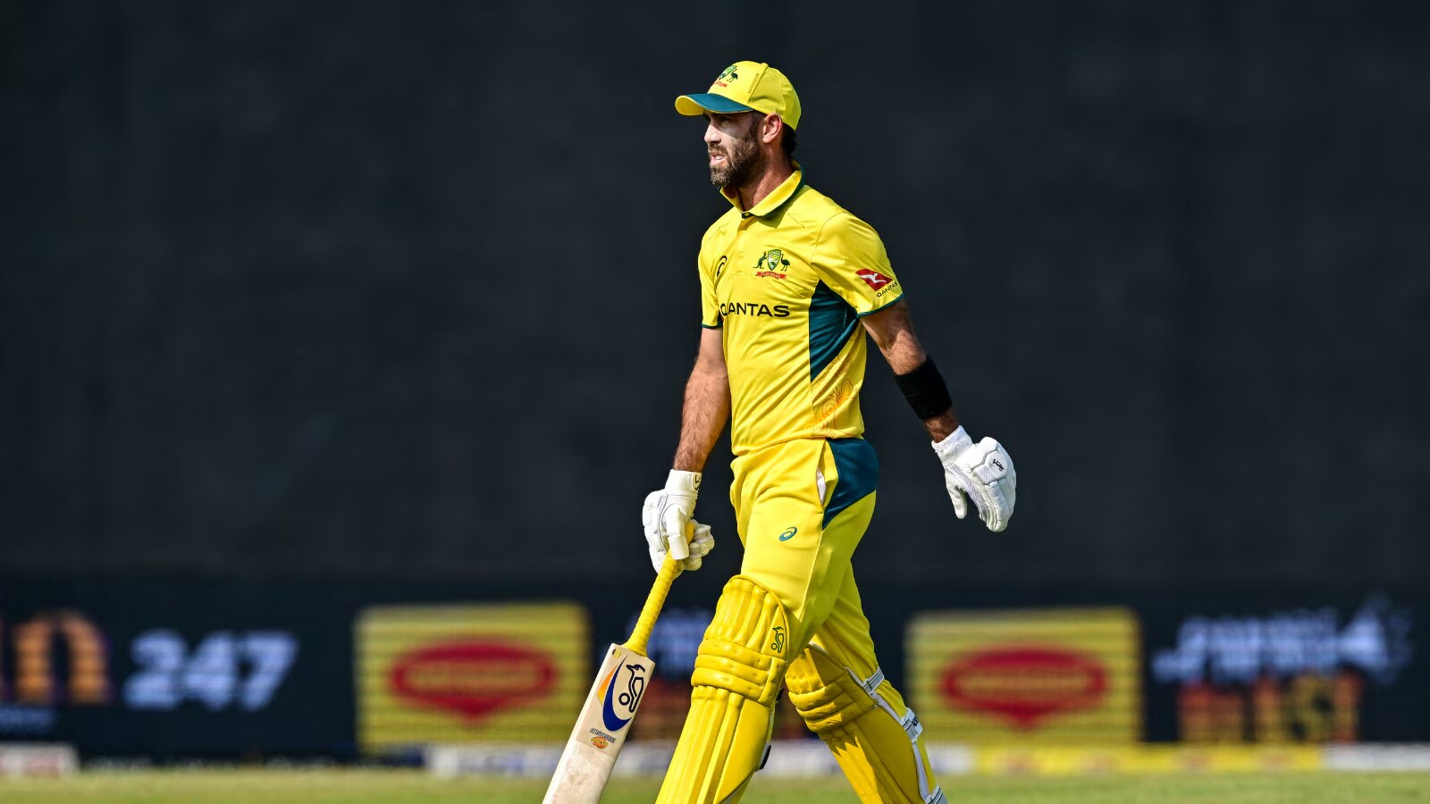 Glenn Maxwell: ಅವರಿಬ್ಬರ ಬೆನ್ನಲ್ಲೇ ODIಗೆ ಗ್ಲೆನ್ ಮ್ಯಾಕ್ಸ್ ವೆಲ್ ಕೂಡ ಗುಡ್ ...