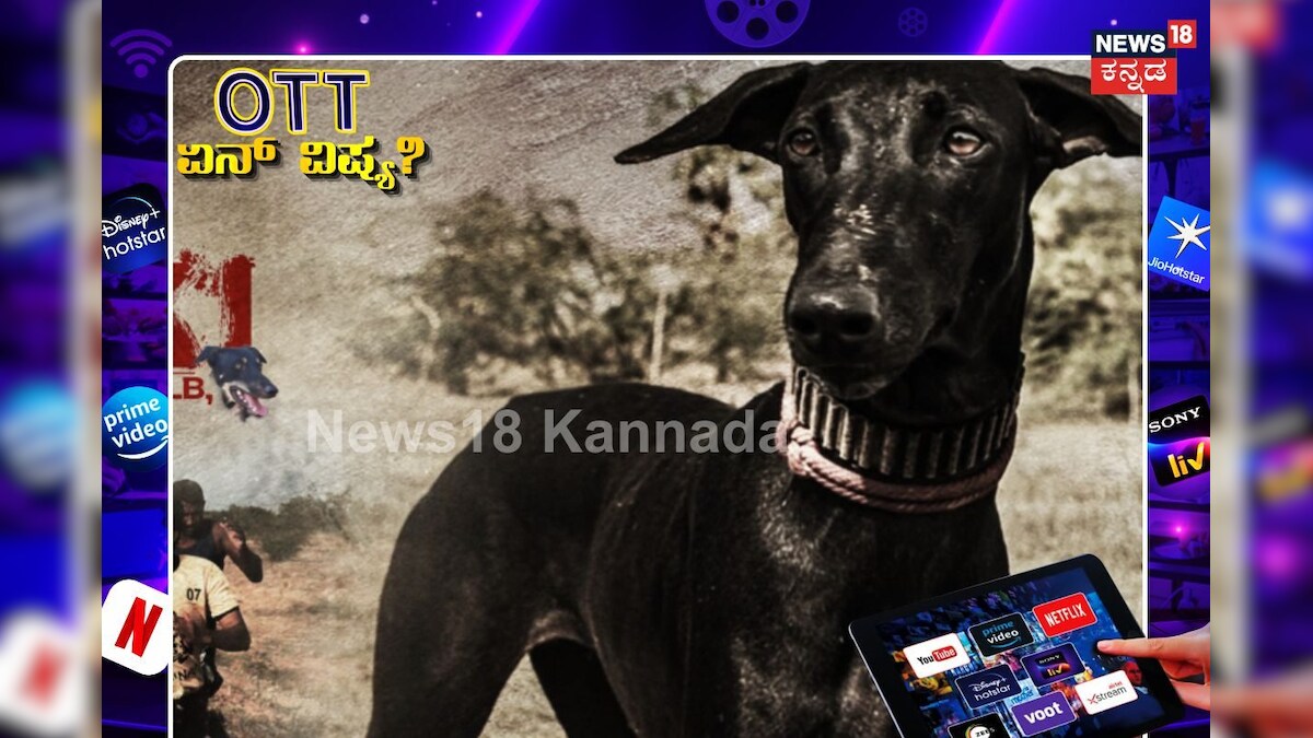 Karki Movie: ಹಳ್ಳಿ ಸೊಗಡಿನ ಚೆಂದದ ಕಥೆ `ಕರ್ಕಿ'; ಒಟಿಟಿಯಲ್ಲಿ ಶೀಘ್ರದಲ್ಲಿಯೇ ...