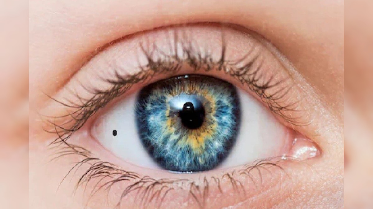 Eyes: ನಾವು ಕಣ್ಣು ಮುಚ್ಚಿದಾಗ ನಮಗೆ ಯಾವ ಬಣ್ಣ ಕಾಣುತ್ತದೆ? ಕಪ್ಪು ಎಂದರೆ ನಿಮ್ಮ ...