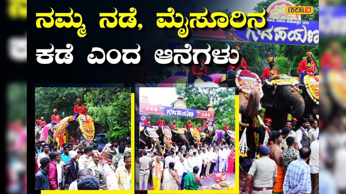 Dasara Update: ಗಜಪಡೆಯ ಗಾಂಭೀರ್ಯದ ನಡಿಗೆಯೇ ಚಂದ! ಅವಧಿಗೆ ಮುಂಚೆಯೇ ದಸರಾ ...