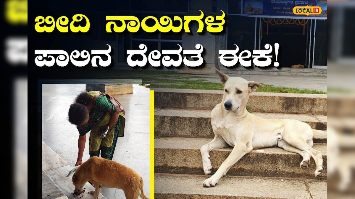 Street Dogs: ಕೈಯಲ್ಲೊಂದು ಪೆಡಿಗ್ರಿ ಪಾಕೇಟು, ಬ್ಯಾಗಲ್ಲಿ ನಾಯಿಗಳ ಊಟ; ಹಸಿದ ...