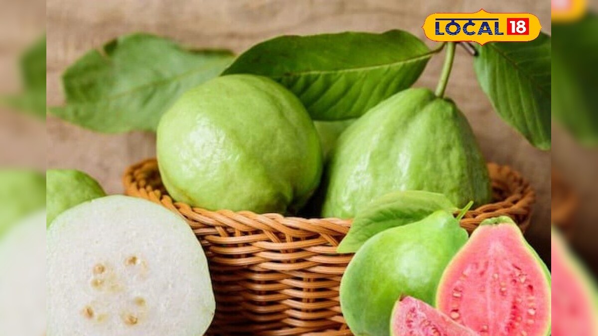 ಫ್ರೆಶ್ ಆಗಿರುವ ಸೀಬೆ ಹಣ್ಣು ಖರೀದಿಸೋಕೆ ಗೊತ್ತಾಗ್ತಿಲ್ವಾ? ಹಾಗಾದ್ರೆ ಈ ಟಿಪ್ಸ್ ...