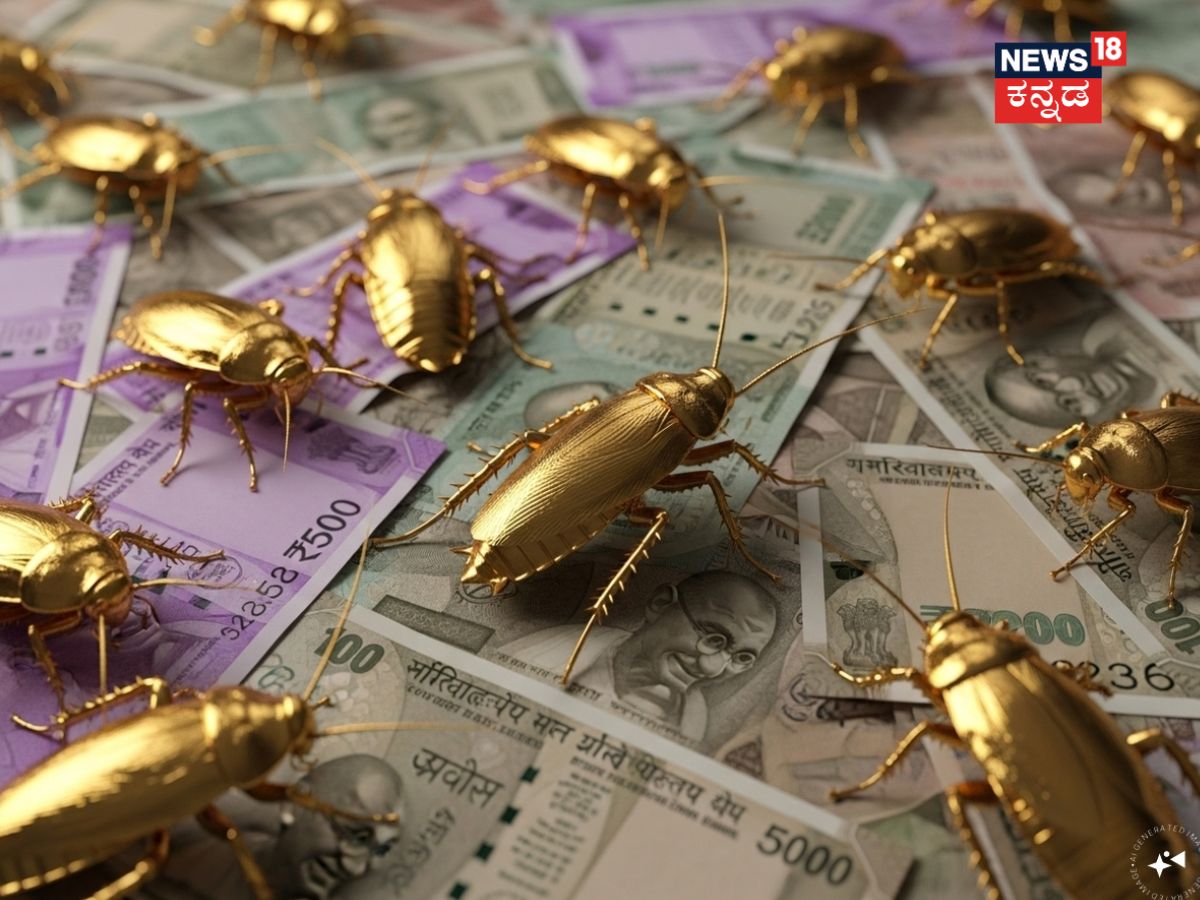 Cockroaches: ಬಂಗಾರದಷ್ಟೇ ದುಬಾರಿಯಾಯ್ತು ಜಿರಳೆ! 1 ಕೆಜಿಗೆ ಇಷ್ಟೊಂದು ದುಡ್ಡು ...