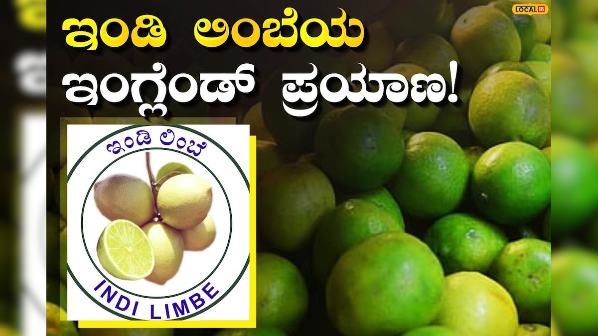 Good News: ವಿಜಯಪುರದ ರೈತರಿಗೆ ಶುಭ ಸುದ್ದಿ, ಕ್ವಿಂಟಾಲ್‌ ಗಟ್ಟಲೆ ಇಂಡಿ ನಿಂಬೆ ...