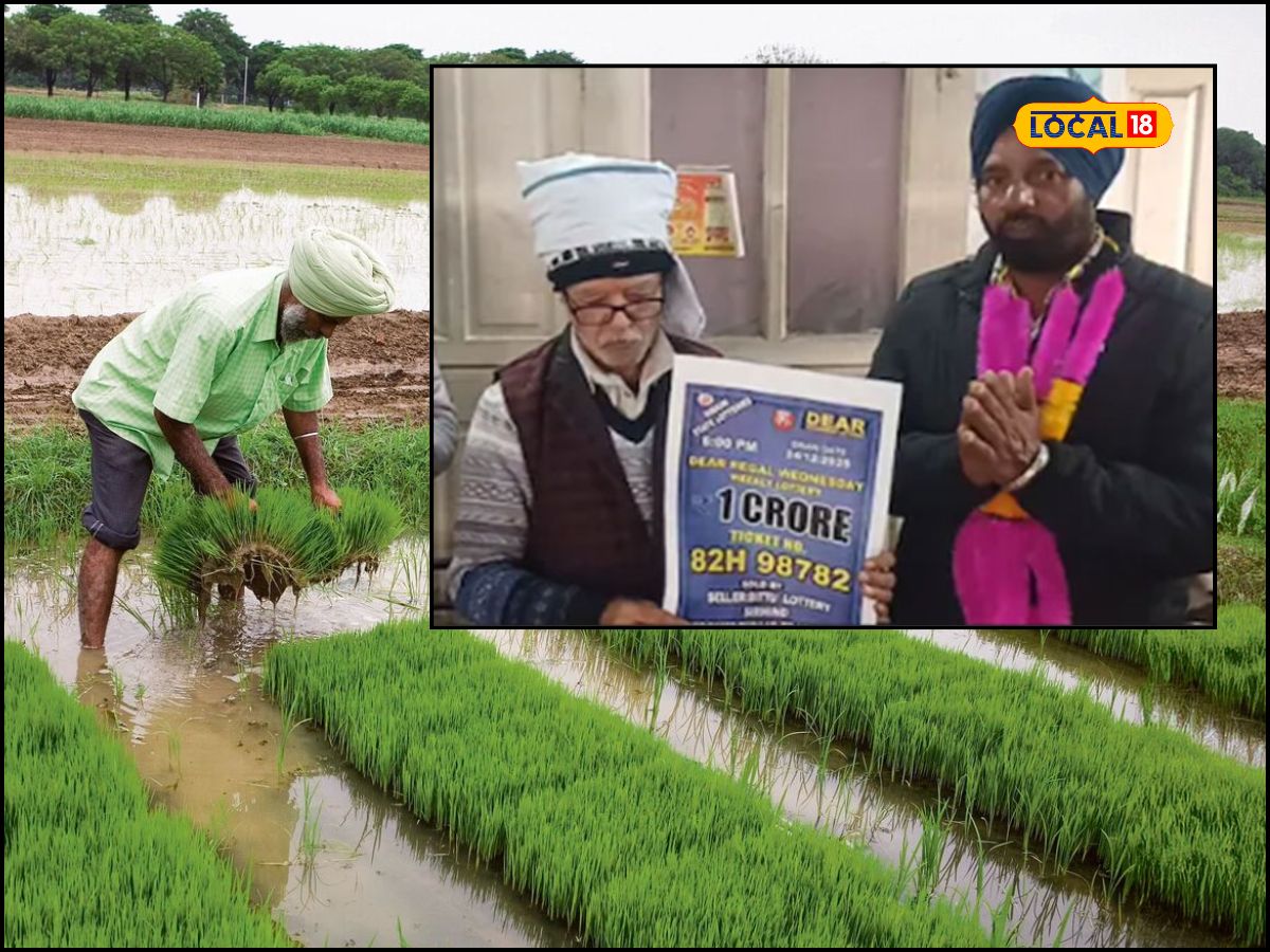 Farmer: ರಾತ್ರೋರಾತ್ರಿ ಕೋಟ್ಯಾಧಿಪತಿಯಾದ ರೈತ; ಜಸ್ಟ್ 7 ರೂಪಾಯಿಗೆ ಒಂದು ಕೋಟಿ ಲಾಭ ...