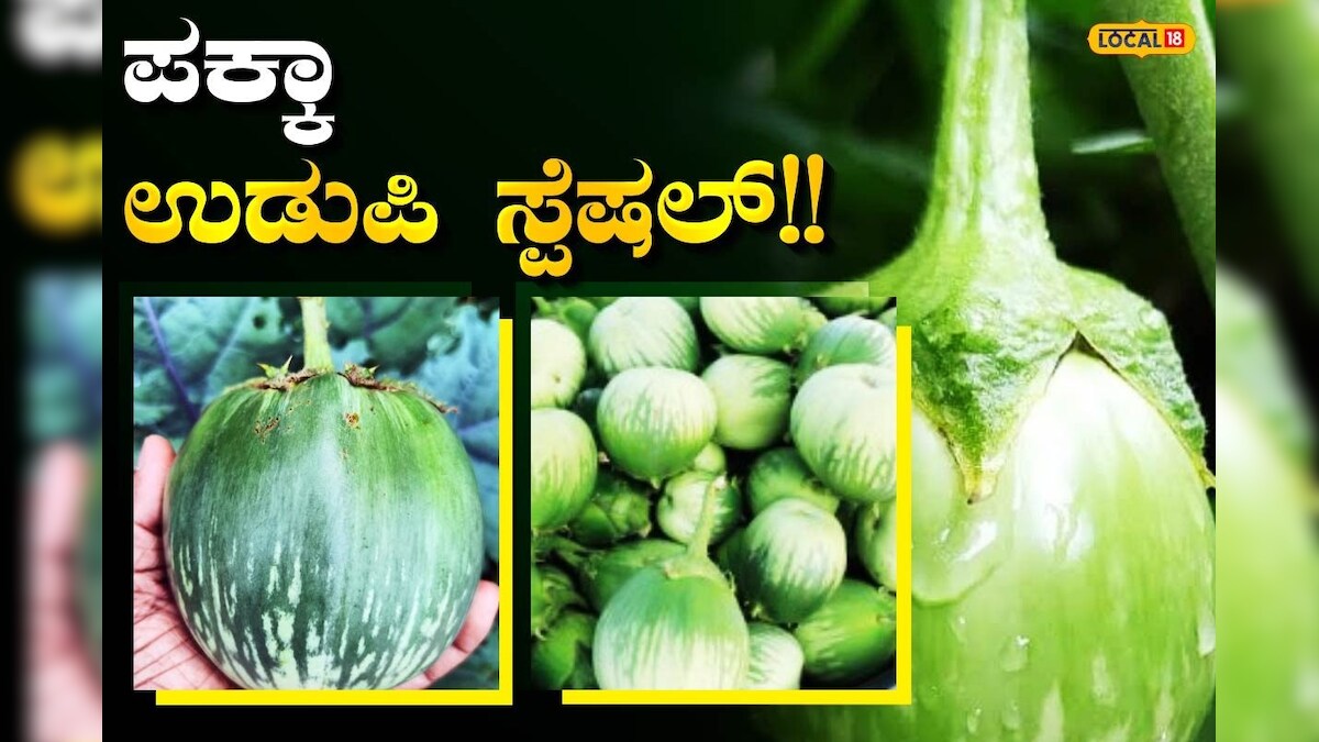Udupi Special: ಇದು ದೇವರೇ ಮೆಚ್ಚಿದ ತರಕಾರಿ! ಉಡುಪಿಯಲ್ಲಿ ಮಾತ್ರ ಸಿಗುತ್ತೆ ಈ ...