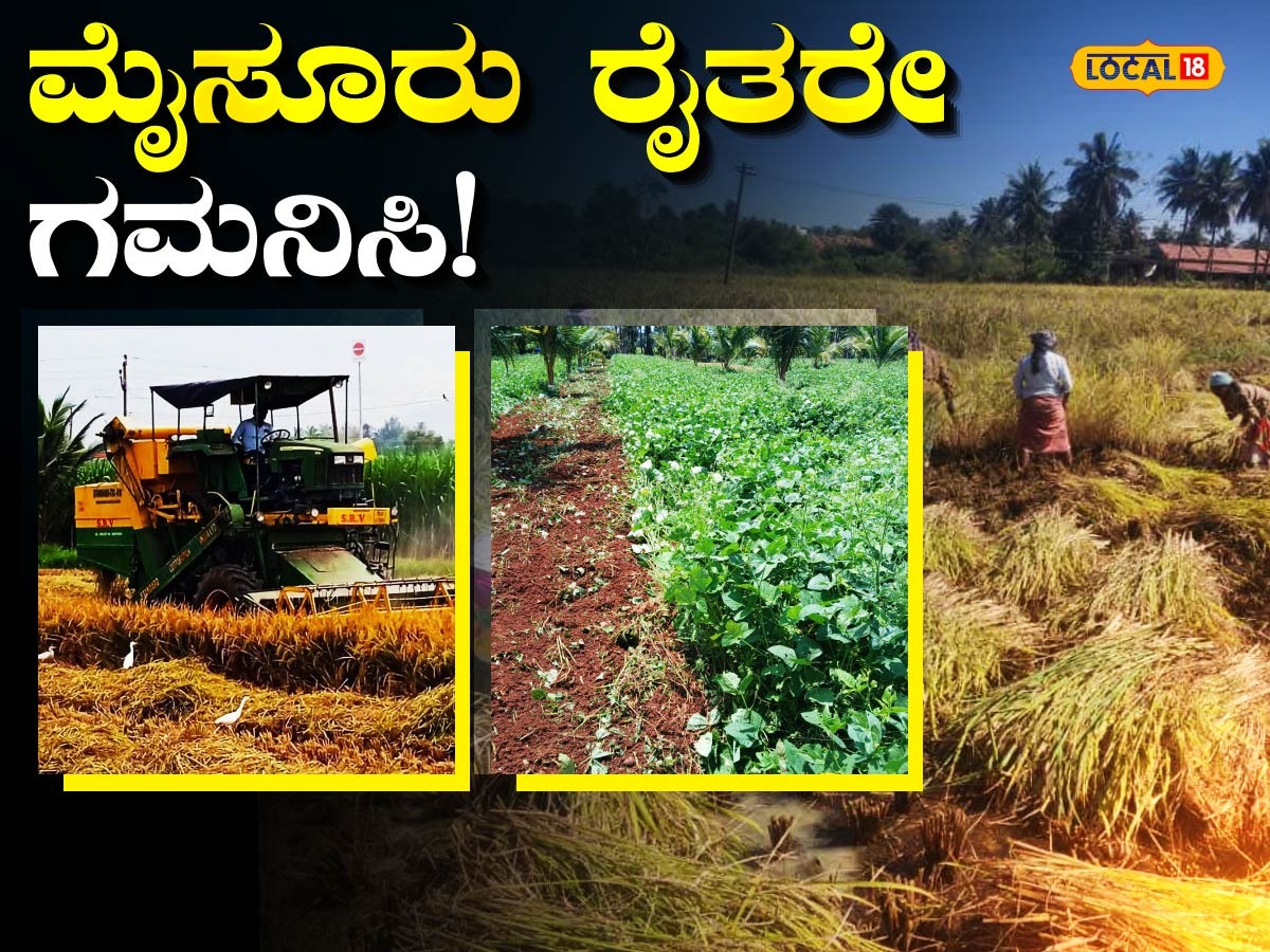 Alert To Farmers: ರೈತರಿಗೆ ವಿಶೇಷ ಮುನ್ನೆಚ್ಚರಿಕೆ ನೀಡಿದ ಕೃಷಿ ಇಲಾಖೆ, ಈ ಸಲಹೆ ...
