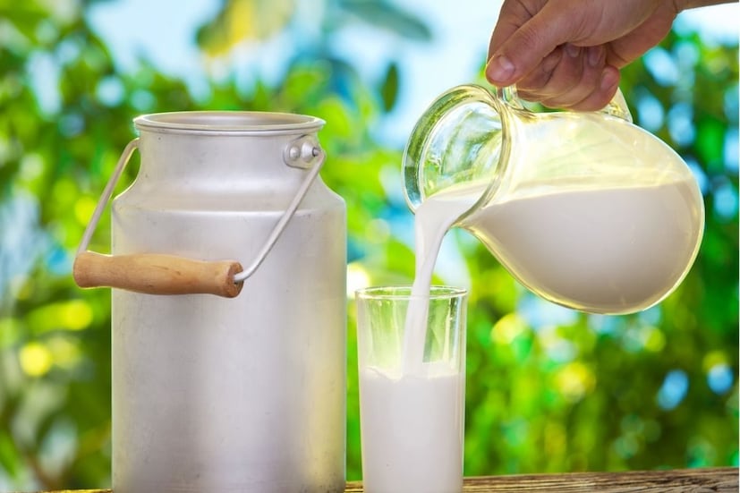 Tulsi Plant Care: ತುಳಸಿ ಗಿಡ ಒಣಗದೆ ಸೊಂಪು ಸೊಂಪಾಗಿ ಬೆಳೆಯಬೇಕೆಂದರೆ ಈ ಟಿಪ್ಸ್ ...