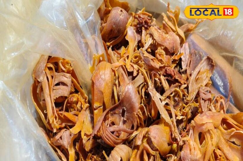 ಮಹಿಳೆಯರಿಗಿಂತ ಪುರುಷರಿಗೆ ಈ ಕಾಯಿ ವರದಾನ; ದುಪ್ಪಟ್ಟು ಶಕ್ತಿಗಾಗಿ ಇವುಗಳನ್ನು ...