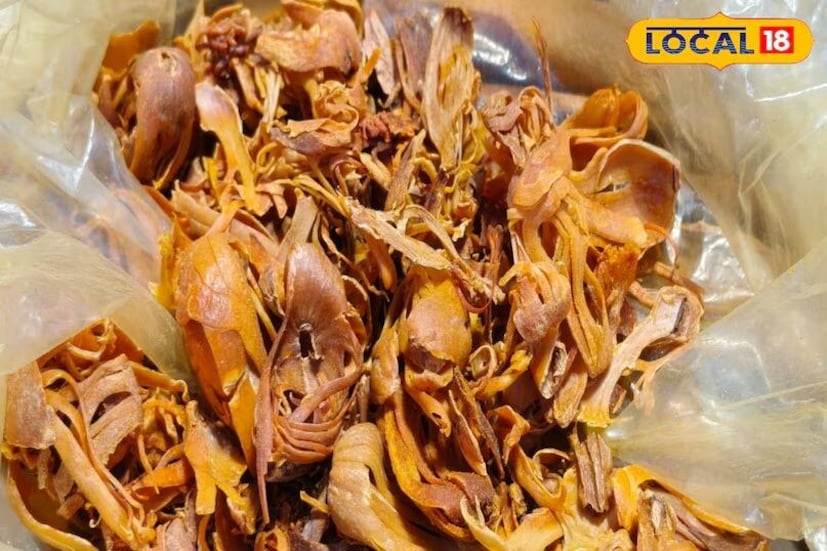 ಮಹಿಳೆಯರಿಗಿಂತ ಪುರುಷರಿಗೆ ಈ ಕಾಯಿ ವರದಾನ; ದುಪ್ಪಟ್ಟು ಶಕ್ತಿಗಾಗಿ ಇವುಗಳನ್ನು ...