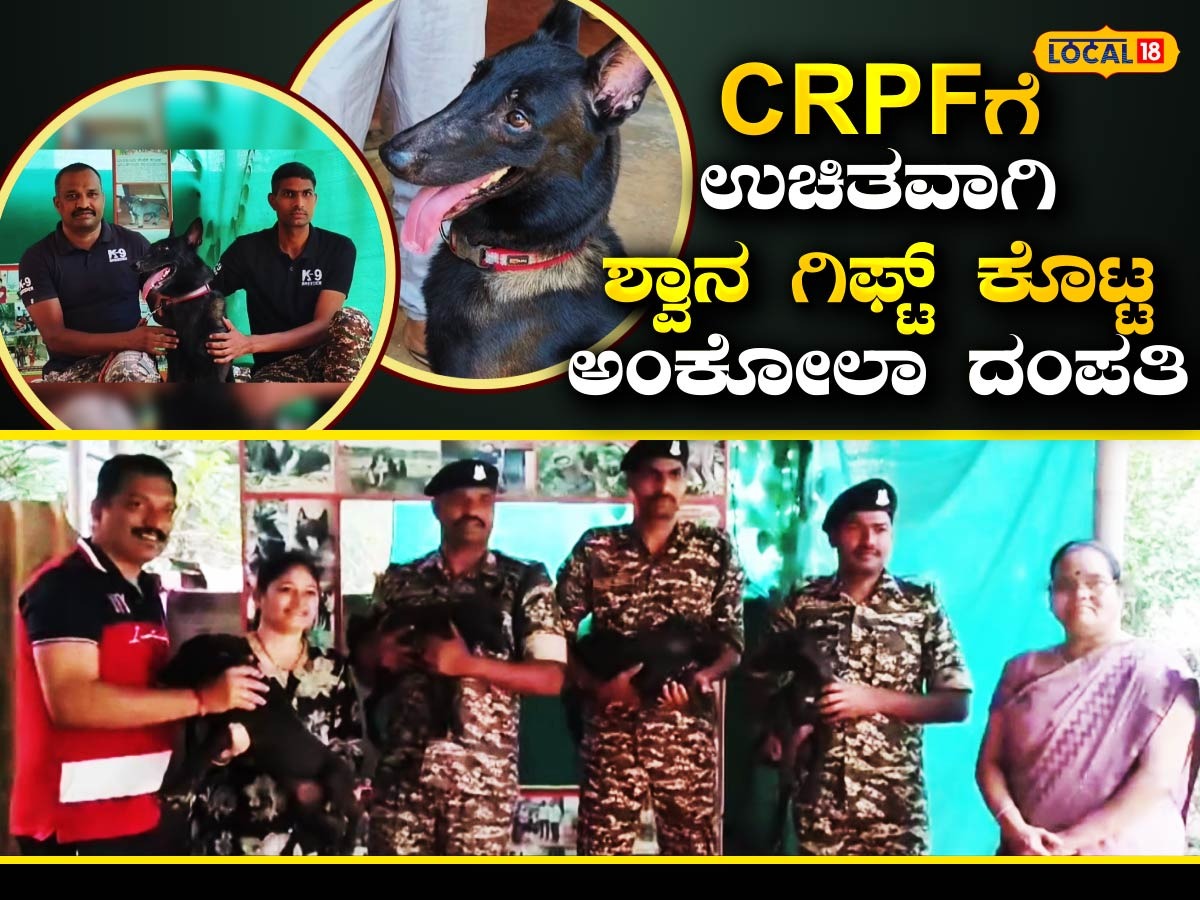 Karwar: ಅಂಕೋಲಾದ 9 ನಾಯಿಗಳು ದೇಶ ಸೇವೆಗೆ! CRPFಗೆ 4, ಪ.ಬಂಗಾಳ ಪೊಲೀಸ್ರಿಗೆ 5 ...