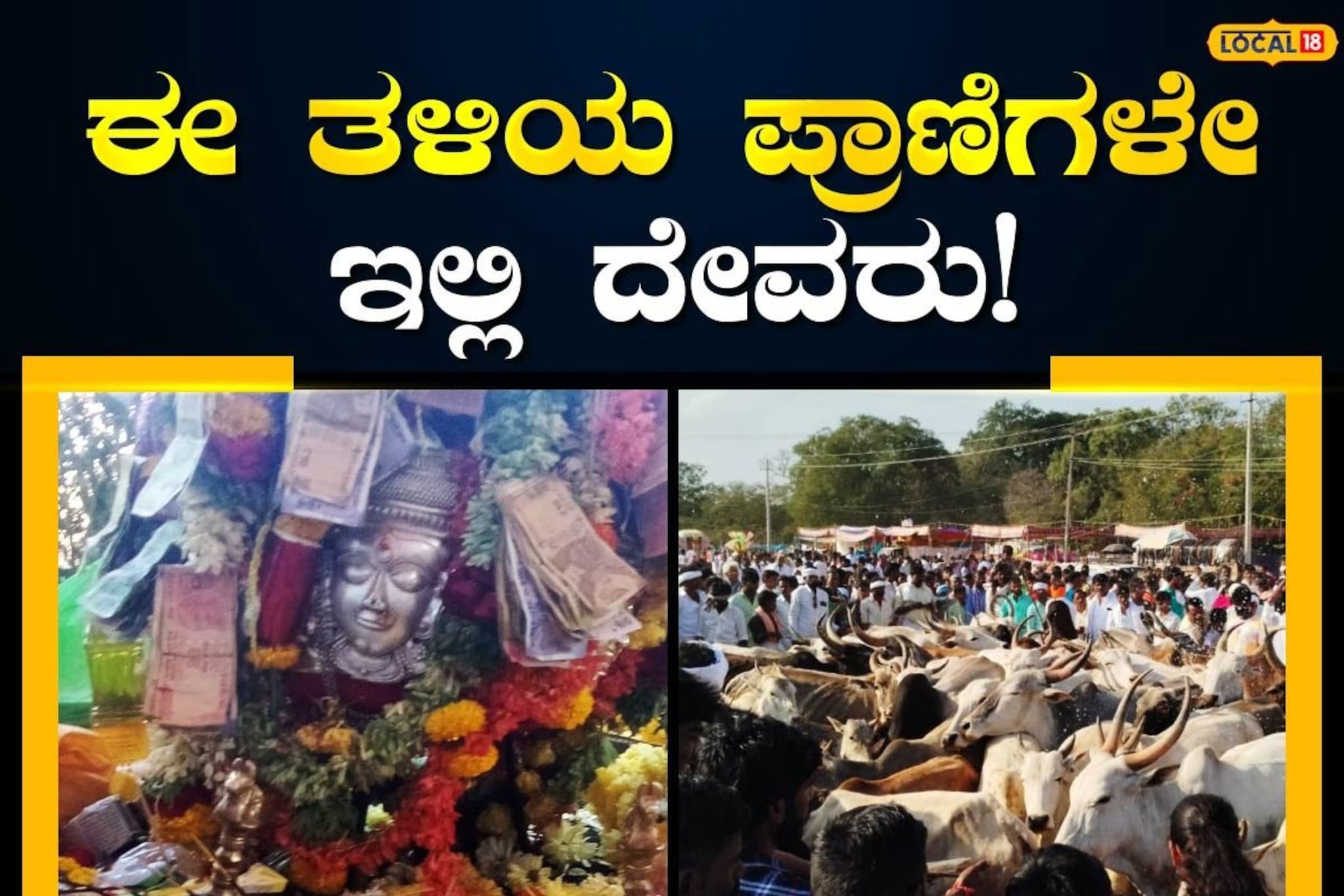 Exercises: ಹೆಸರು ಮರೆತುಹೋಗ್ತಿದೆಯಾ? ಏಕಾಗ್ರತೆ ಬರ್ತಿಲ್ವಾ? ಈ 5 ವ್ಯಾಯಾಮಗಳನ್ನ ...