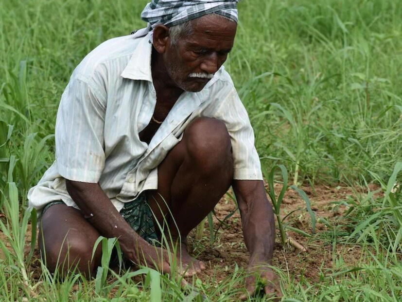 Chikkaballapura: ಹಾಲು ಉತ್ಪಾದಕರಿಗೆ ಚಿಮುಲ್ ಬಂಪರ್ ಗಿಫ್ಟ್ ; ಹಾಲಿನ ದರ ಹೆಚ್ಚಳ ...
