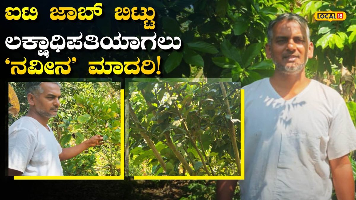 Success Story: ಎಸಿ ರೂಮ್ ಬಿಟ್ಟು ಮಣ್ಣಿಗಿಳಿದ ಮೈಸೂರಿನ ಇಂಜಿನಿಯರ್: ಕೇವಲ 2 ...
