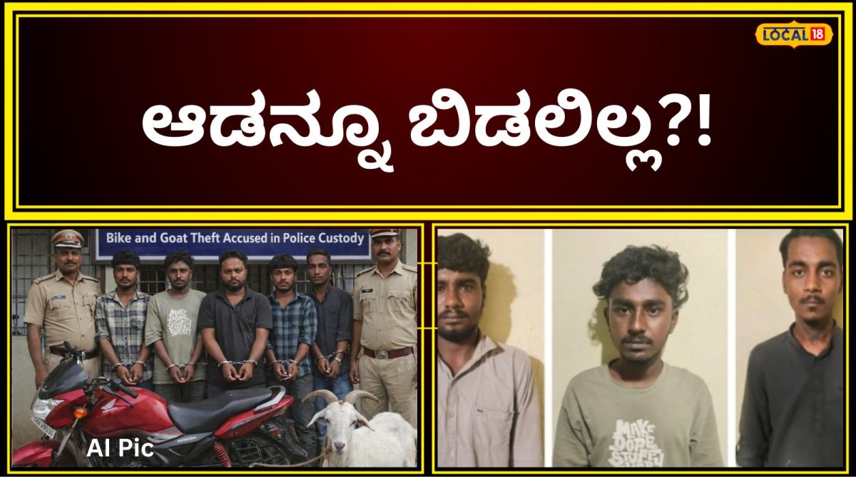 Crime: ರೈತರಿಗೆ ತಲೆನೋವಾಗಿದ್ದ ಪ್ರಳಯಾಂತಕರು; 7.50 ಲಕ್ಷಕ್ಕೂ ಹೆಚ್ಚು ಮೌಲ್ಯದ ...