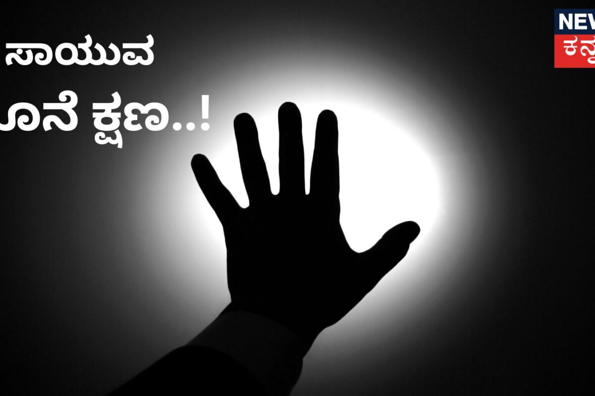 CSK vs SRH: ಕಿರಿಕಿರಿ ಮಾಡುತ್ತಿದ್ದ CSK ಅಭಿಮಾನಿಗಳನ್ನ ಮೈದಾನದಲ್ಲೇ ಟ್ರೋಲ್ ...
