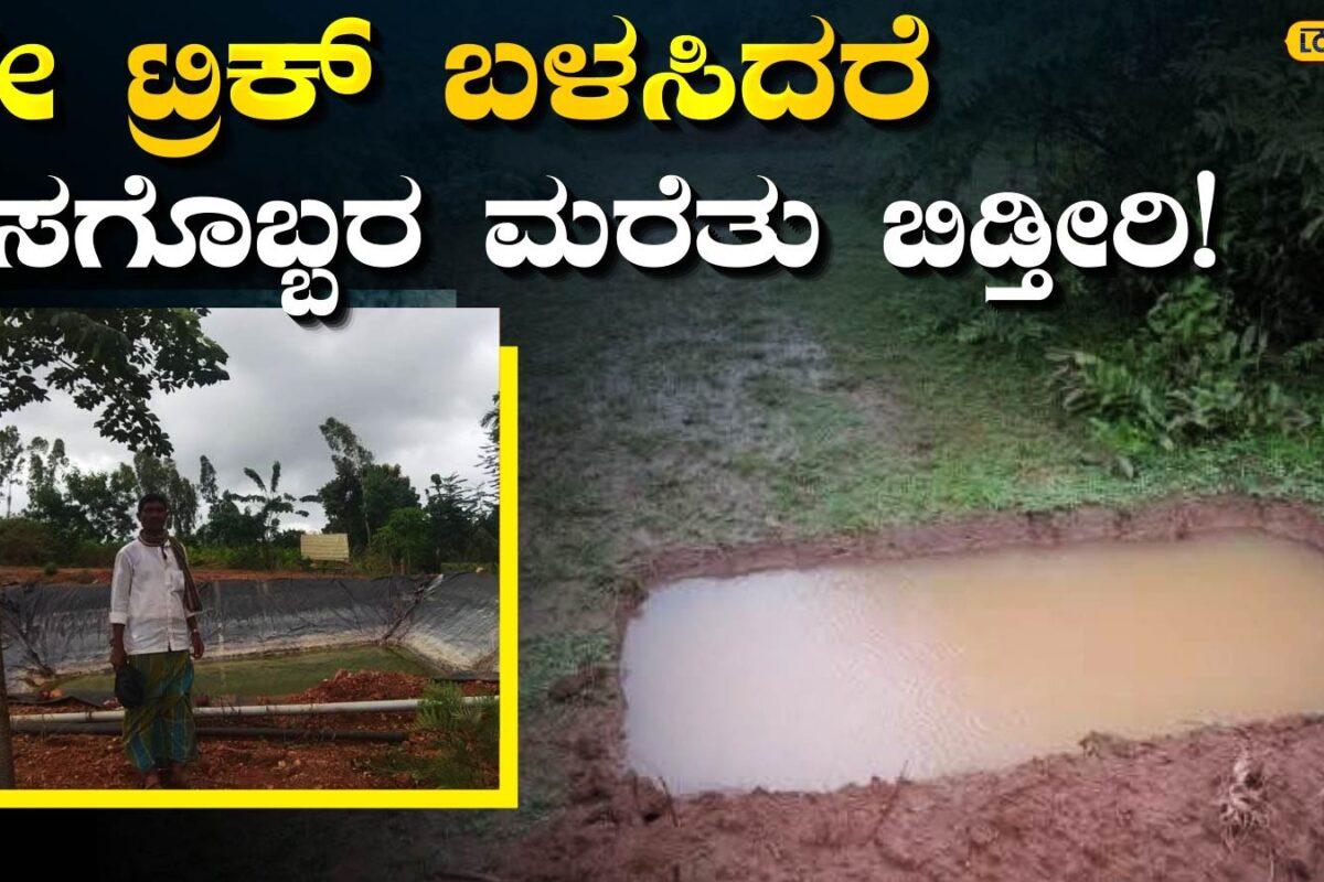Success Story: ಎಸಿ ರೂಮ್ ಬಿಟ್ಟು ಮಣ್ಣಿಗಿಳಿದ ಮೈಸೂರಿನ ಇಂಜಿನಿಯರ್: ಕೇವಲ 2 ...