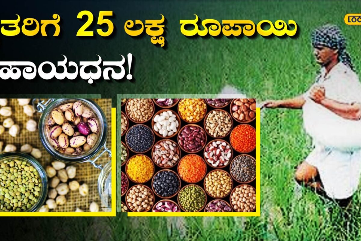 Kitchen Tips: ಅಡುಗೆ ಮನೆ ಕೆಲಸ ಕಷ್ಟ ಆಗ್ತಿದ್ಯಾ? ಶೆಫ್ ಸಂಜೀವ್ ಕಪೂರ್ ನೀಡಿದ 14 ...