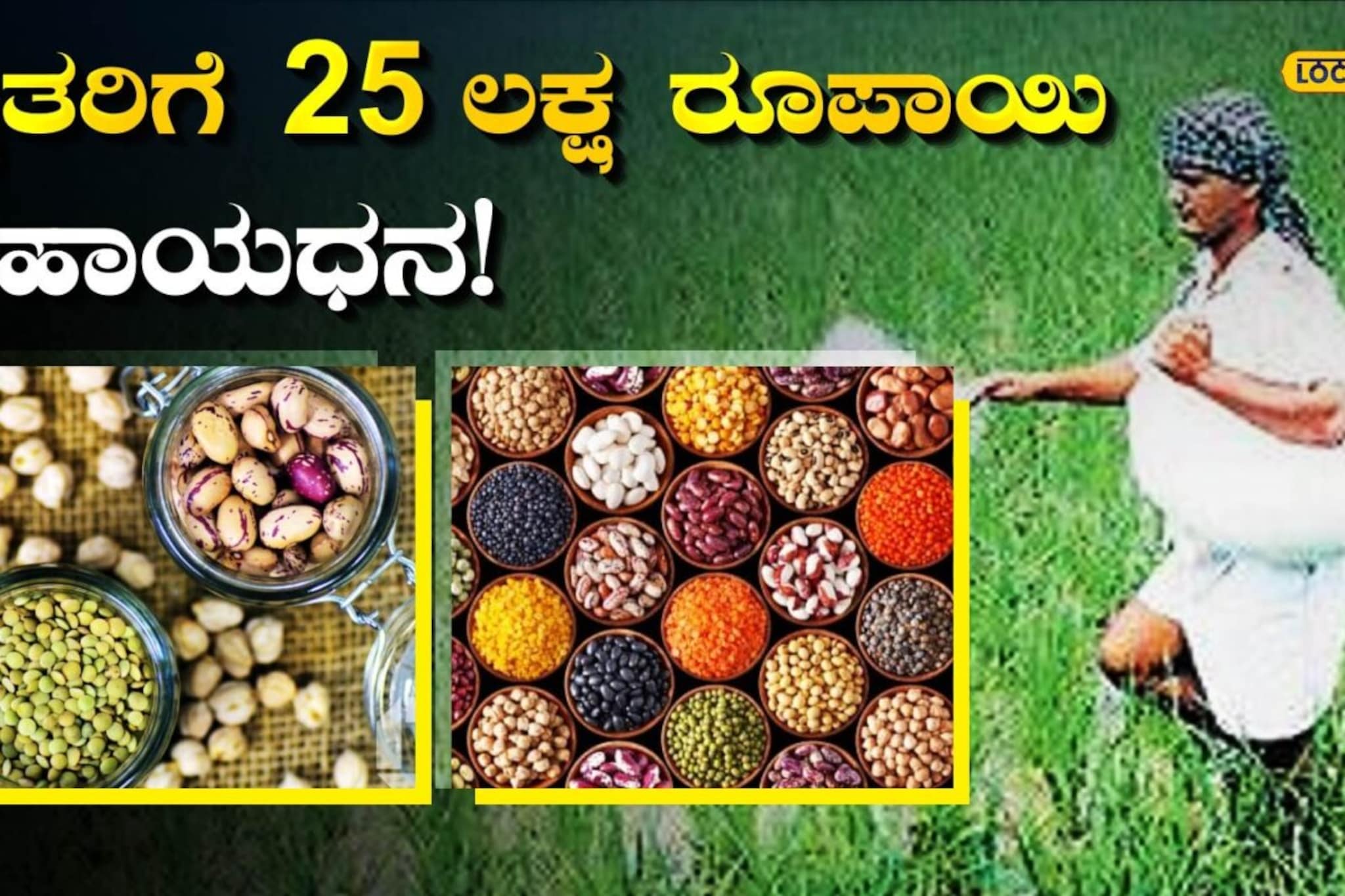 ಆಟವಾಡುತ್ತಿದ್ದ ಬಾಲಕನ ಮೇಲೆ ನೆರೆಮನೆಯ ಪಿಟ್‌ಬುಲ್ ನಾಯಿ ದಾಳಿ ಮಾಡಿ ಕಿವಿ ಕಟ್ ...