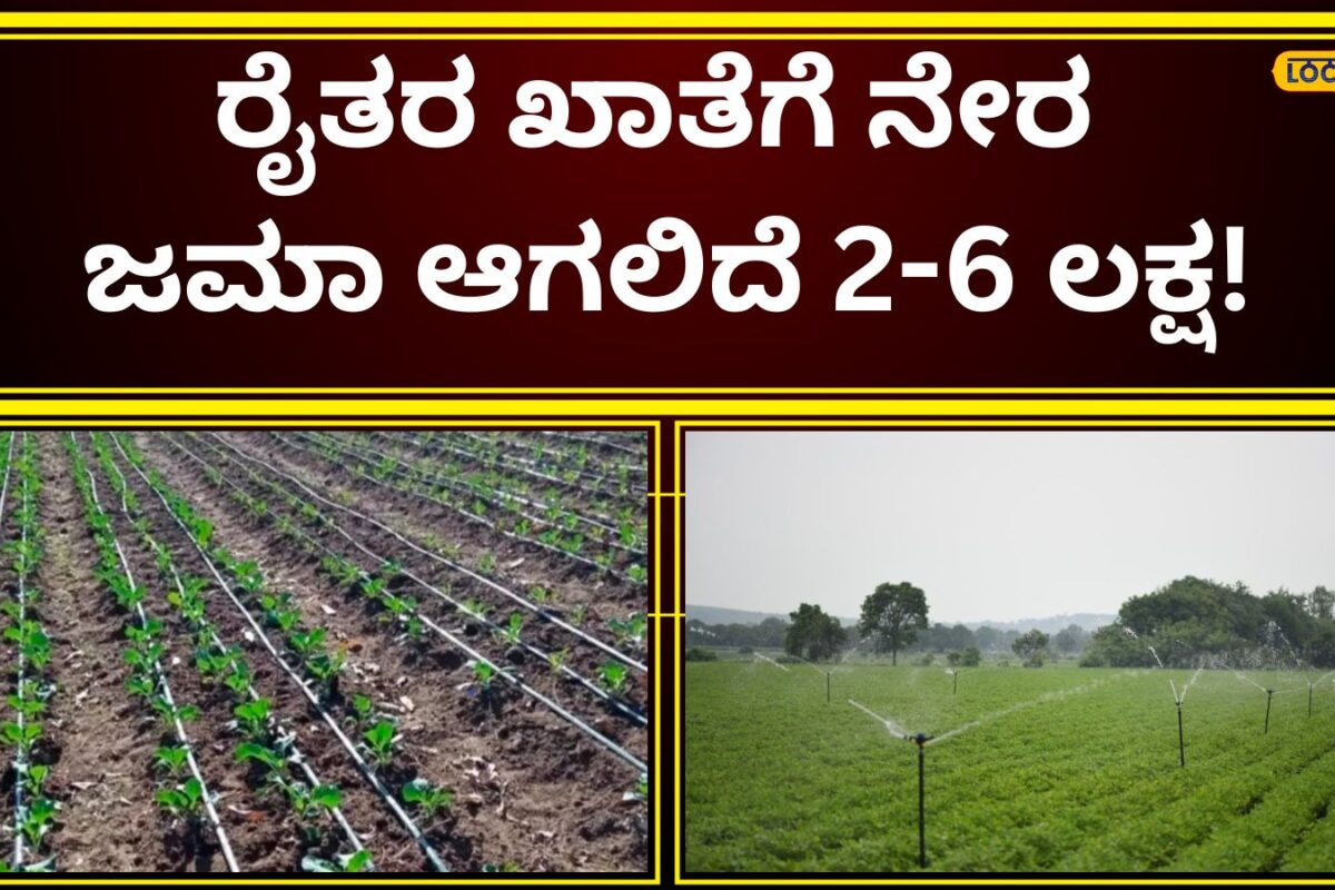 H.D Kumaraswamy Birthday: ಹೆಚ್‌‌ಡಿಕೆಗೆ ಹುಟ್ಟುಹಬ್ಬದ ಸಂಭ್ರಮ: ಕೇಂದ್ರ ...