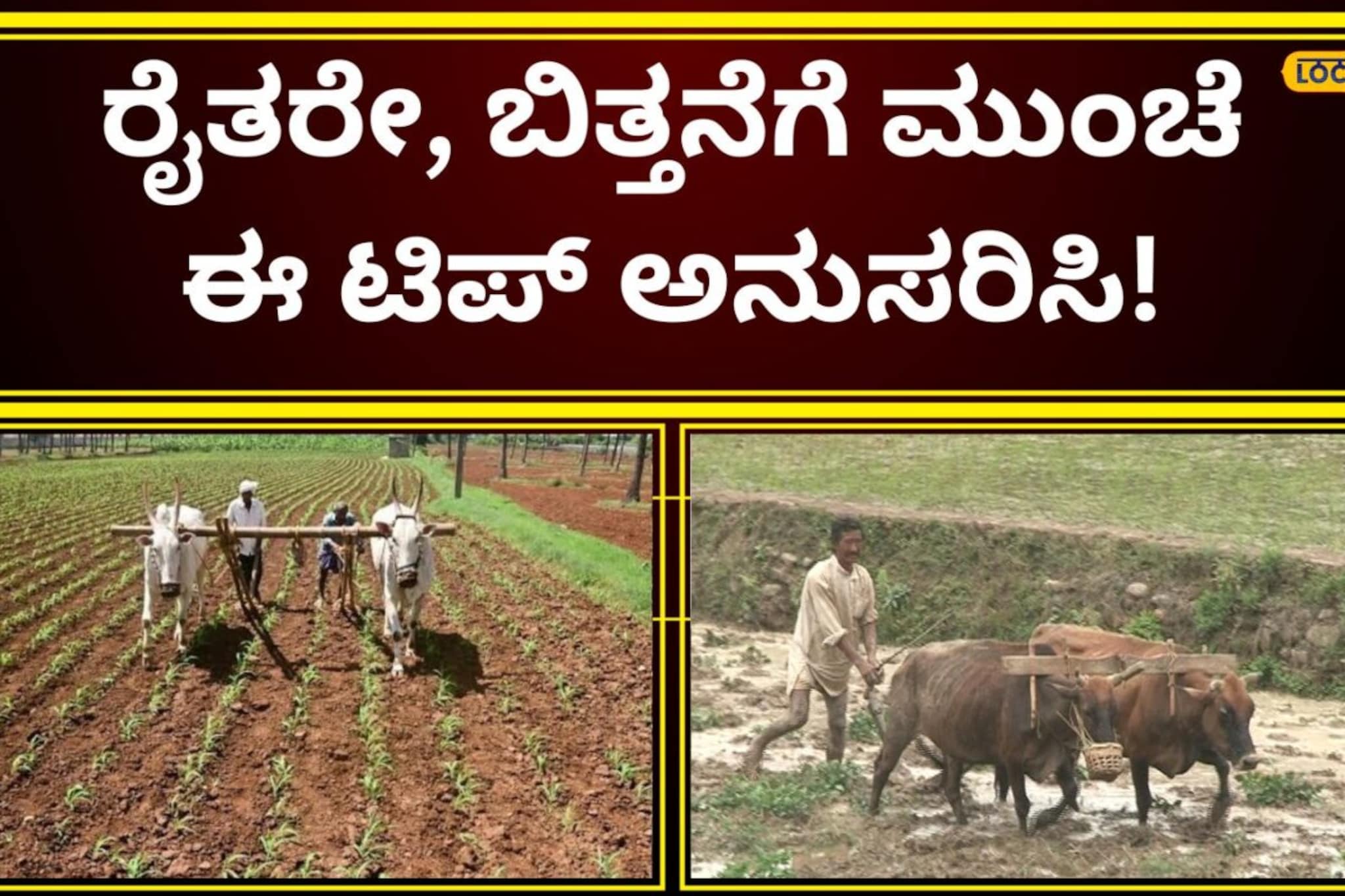 RCB vs GT: ಸಿರಾಜ್ ಮಾರಕ ದಾಳಿಗೆ ಆರ್ ಸಿಬಿ ತತ್ತರ! ಗುಜರಾತ್ ಗೆ 170ರನ್ ಗಳ ...