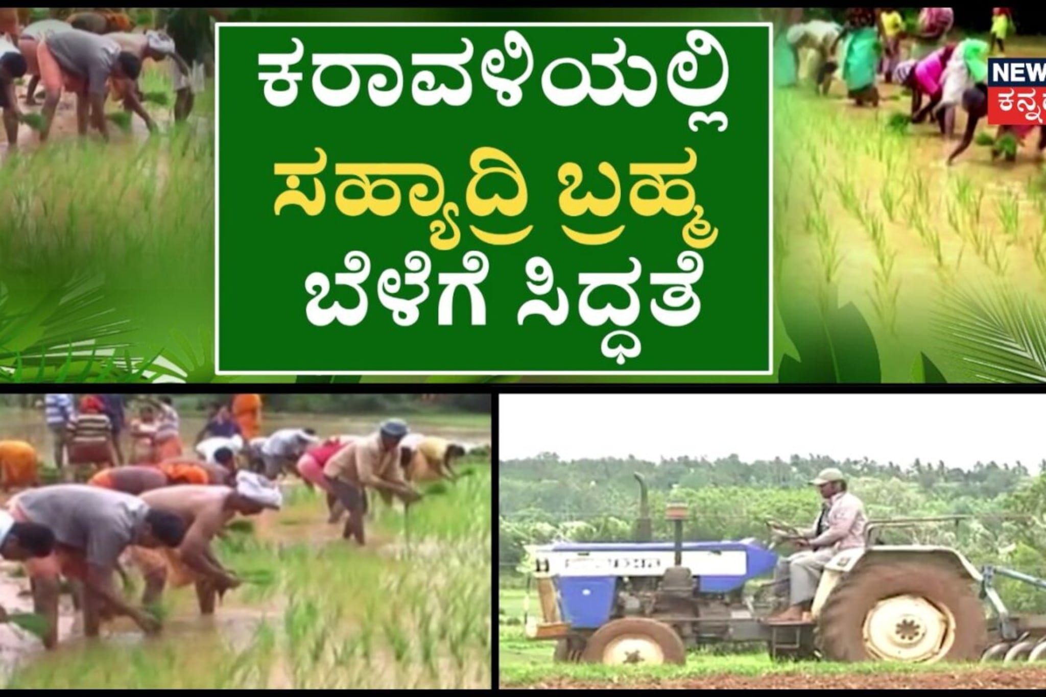 Niveditha Gowda: 'ನಂಗೆ ಗೊತ್ತು ಲವ್ ಅಂದ್ರೇನು ಅಂತ' ಪ್ರೀತಿ ಬೆಲೆ ಗೊತ್ತಿಲ್ಲ ...