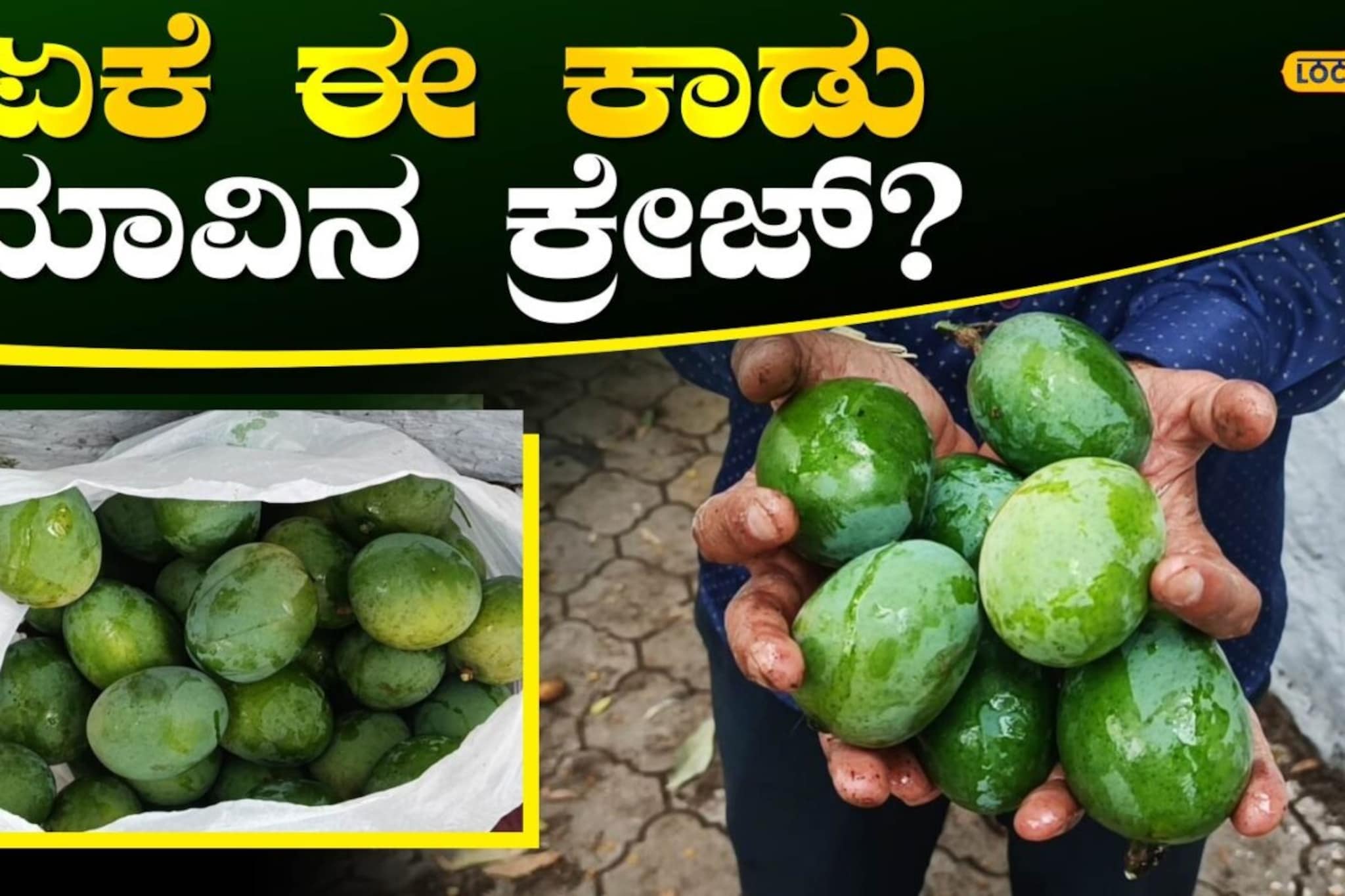 CSK vs SRH: ಕಿರಿಕಿರಿ ಮಾಡುತ್ತಿದ್ದ CSK ಅಭಿಮಾನಿಗಳನ್ನ ಮೈದಾನದಲ್ಲೇ ಟ್ರೋಲ್ ...