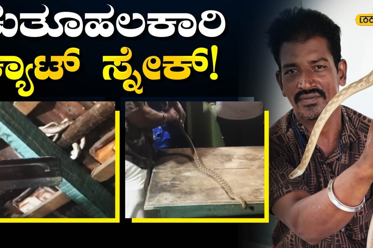 BR Patil: ನಾನು ಬಾಯ್ಬಿಟ್ರೆ ಸರ್ಕಾರ ಅಲ್ಲಾಡುತ್ತೆ; ಸಚಿವ ಜಮೀರ್ ಆಪ್ತ ...