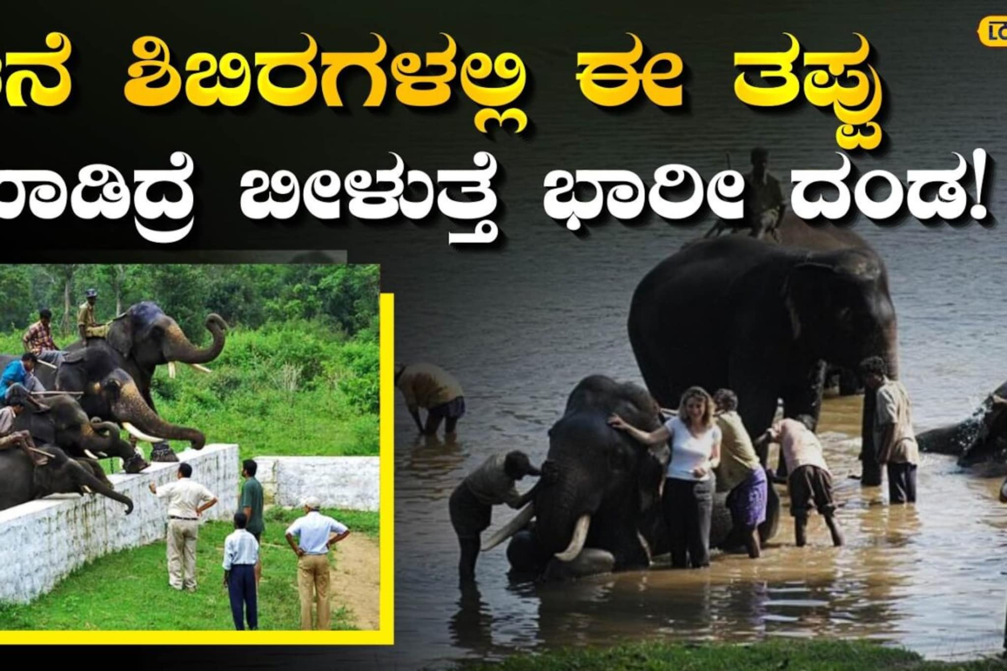 Darshan: ಜೈಲಲ್ಲಿದ್ದರೂ ಕಡಿಮೆಯಾಗಿಲ್ಲ ದಾಸನ ಕ್ರೇಜ್! ಕಲಾಸಿಪಾಳ್ಯ ರಿ-ರಿಲೀಸ್ ...