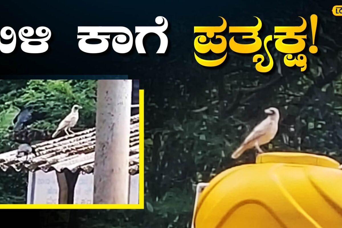 Mayuri Kyatari: ಮೊದಲ ಬಾರಿಗೆ ಡಿವೋರ್ಸ್ ಬಗ್ಗೆ ಮೌನ ಮುರಿದ ನಟಿ ಮಯೂರಿ ...