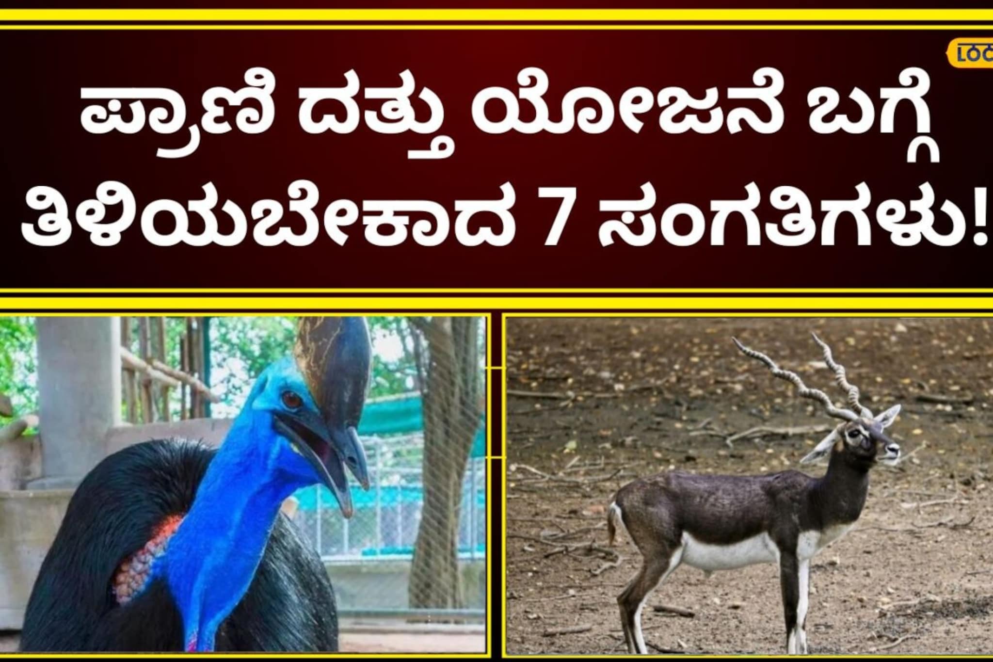 Ranjani Raghavan: ಸಿನಿಮಾ ಡೈರೆಕ್ಷನ್ ಗೆ ಇಳಿದ ರಂಜನಿ ರಾಘವನ್! ಹೊಸ ವರ್ಷದಲ್ಲಿ ...