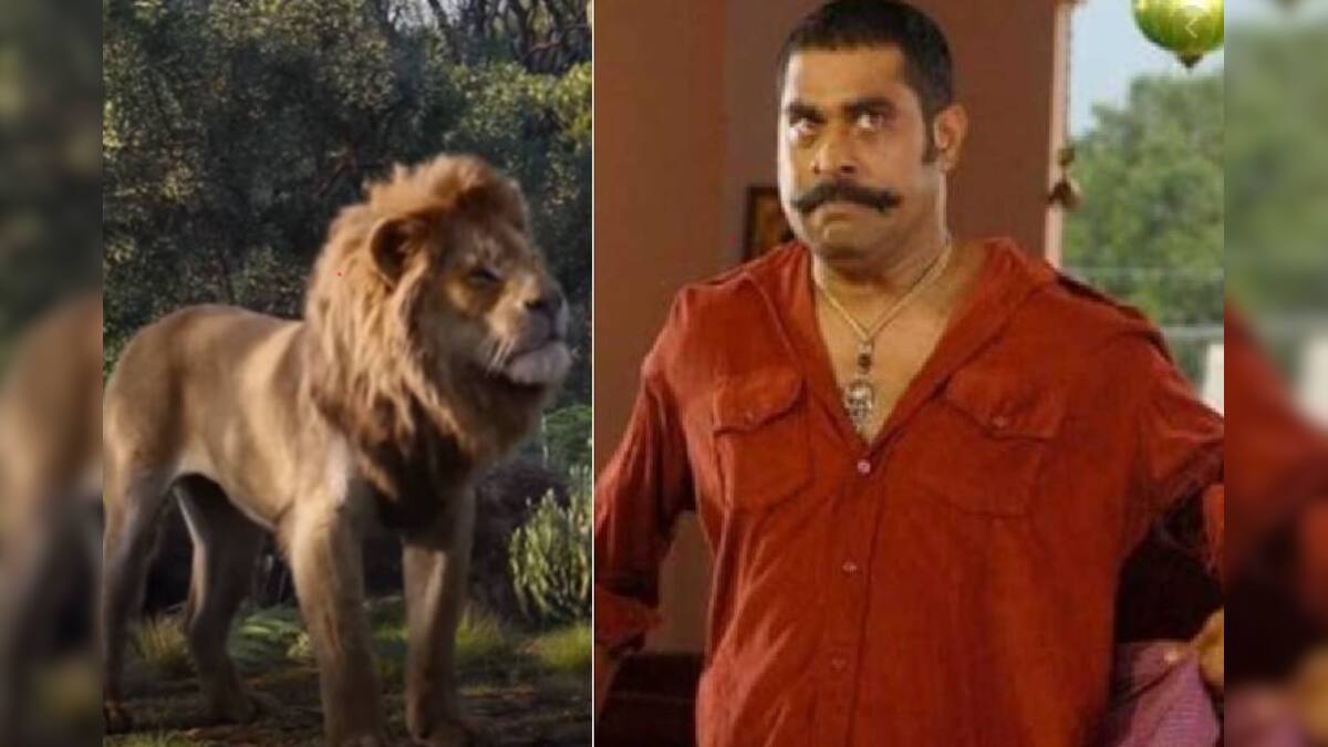 ശത്രുക്കളെ 'അമ്മച്ചിയേ' എന്ന് വിളിപ്പിച്ച് ഓടിക്കുന്ന സിംബ; സിംഹത്തിന് ...