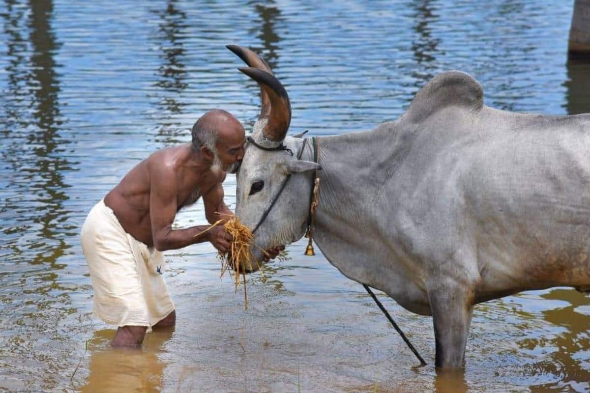 Malayalam News - പൊൻകുന്നം വർക്കിയുടെ 'ശബ്ദിക്കുന്ന കലപ്പ' മെയ്ദിനത്തി ...