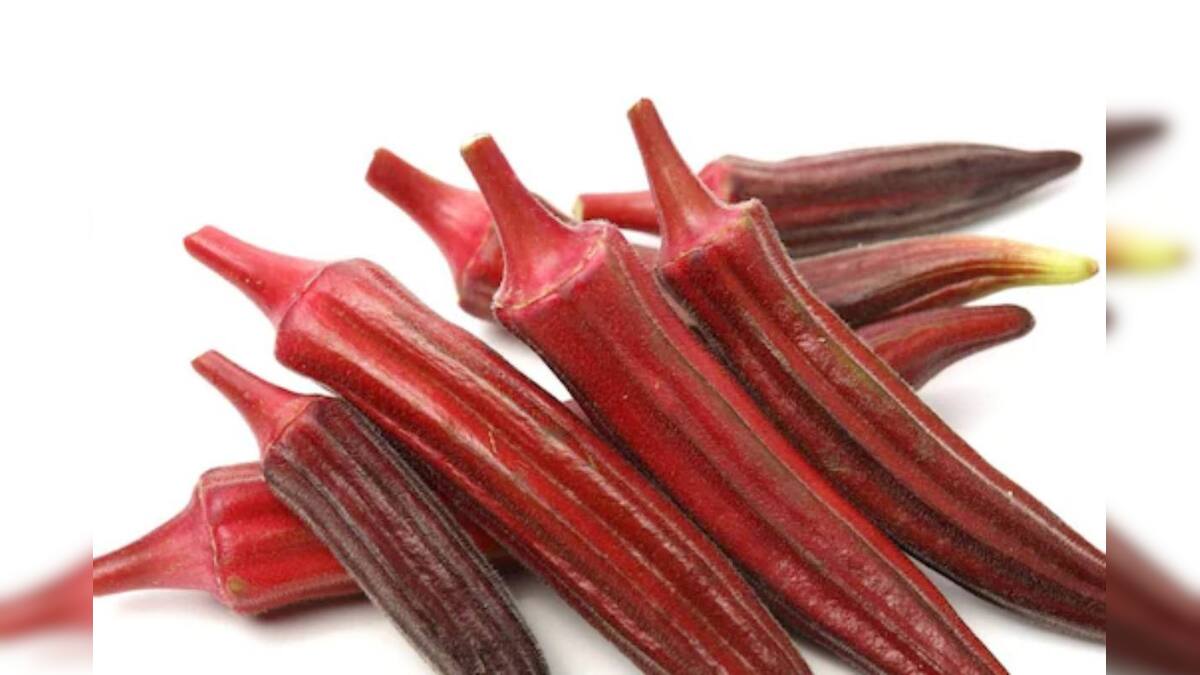 ചുവന്ന വെണ്ടയ്ക്കയുമായി കർഷകൻ; പച്ചയെക്കാള്‍ പോഷകഗുണത്തില് ...