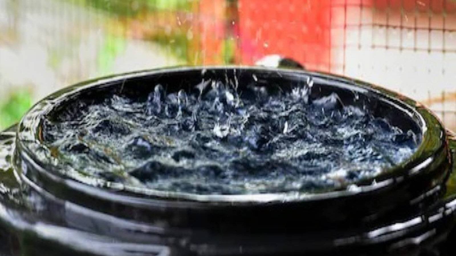 Poison In Water Tank | സര്‍ക്കാര്‍ സ്‌കൂളിലെ വാട്ടര്‍ ടാങ്കില്‍ സാമൂഹ്യ ...