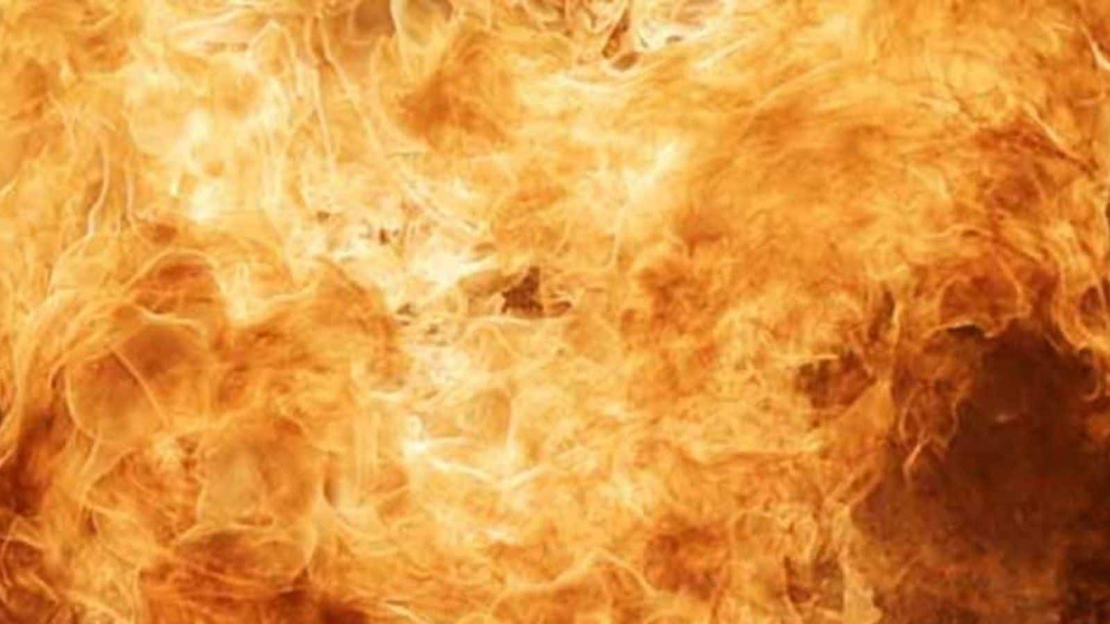 'ഗ്രാമം വിട്ട് മക്കൾക്കൊപ്പം പോകാന്‍ താല്‍പ്പര്യമില്ല'; തൊണ്ണൂറുകാരന് ...