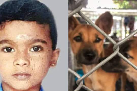 മൂന്നു മാസം മുമ്പ് വളര്‍ത്തുനായ മാന്തി; പേവിഷബാധയേറ്റ് ഏഴു വയസുകാരന് ...