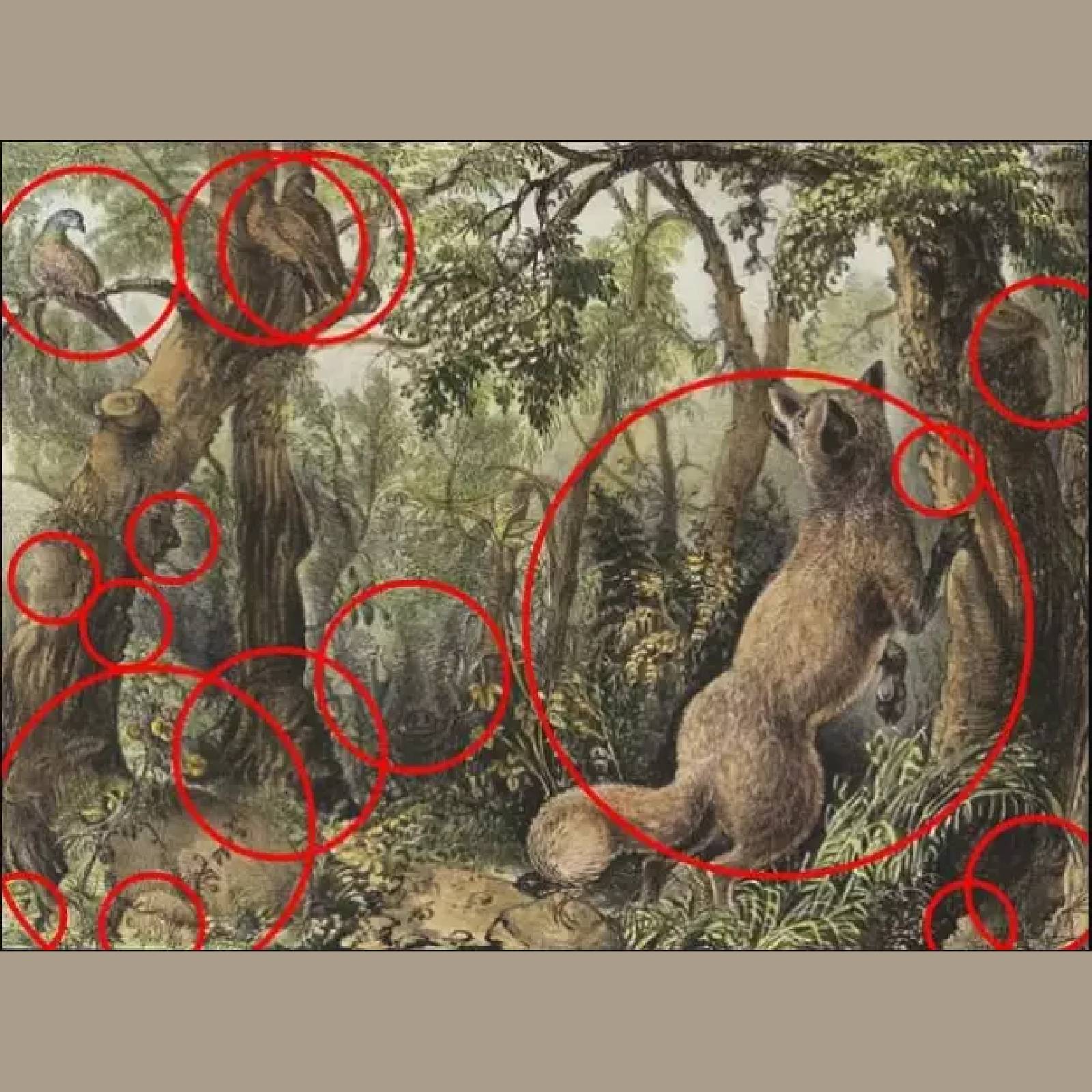 Optical Illusion | ഒറ്റ പടത്തിൽ മൊത്തം 16 മൃഗങ്ങളും മനുഷ്യരും ...