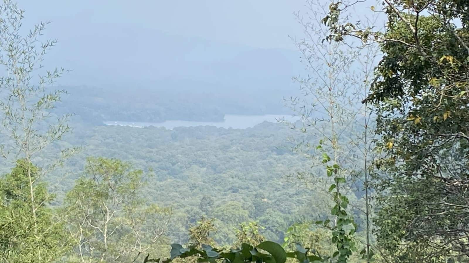 Buffer Zone |എന്താണ് ബഫര്‍സോണ്‍? എങ്ങനെയാണ് ജനങ്ങളെ ബാധിക്കുക? - Malayalam News