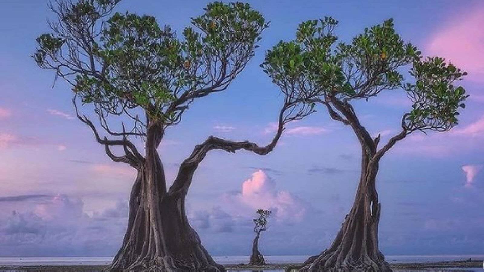 സഞ്ചാരികളേ ഇതിലേ ഇതിലേ; കണ്ണിന് കുളിർമ്മയായി ഇന്തോനേഷ്യയിലെ നൃത്തം ...