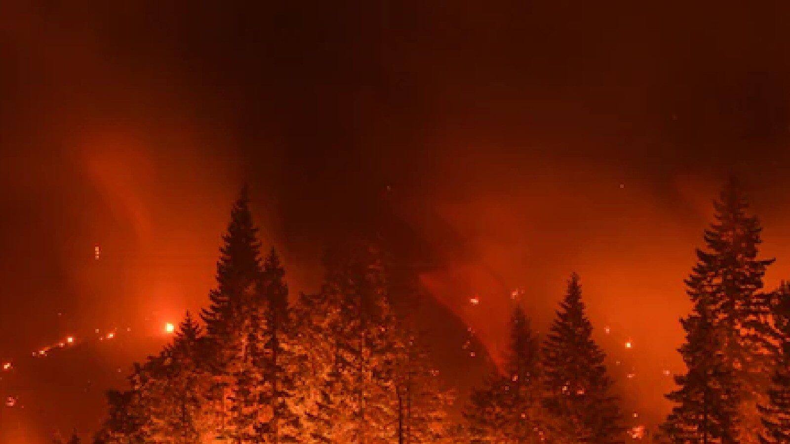 the-husks-were-set-on-fire-to-destroy-them-1-042-hectares-of-land