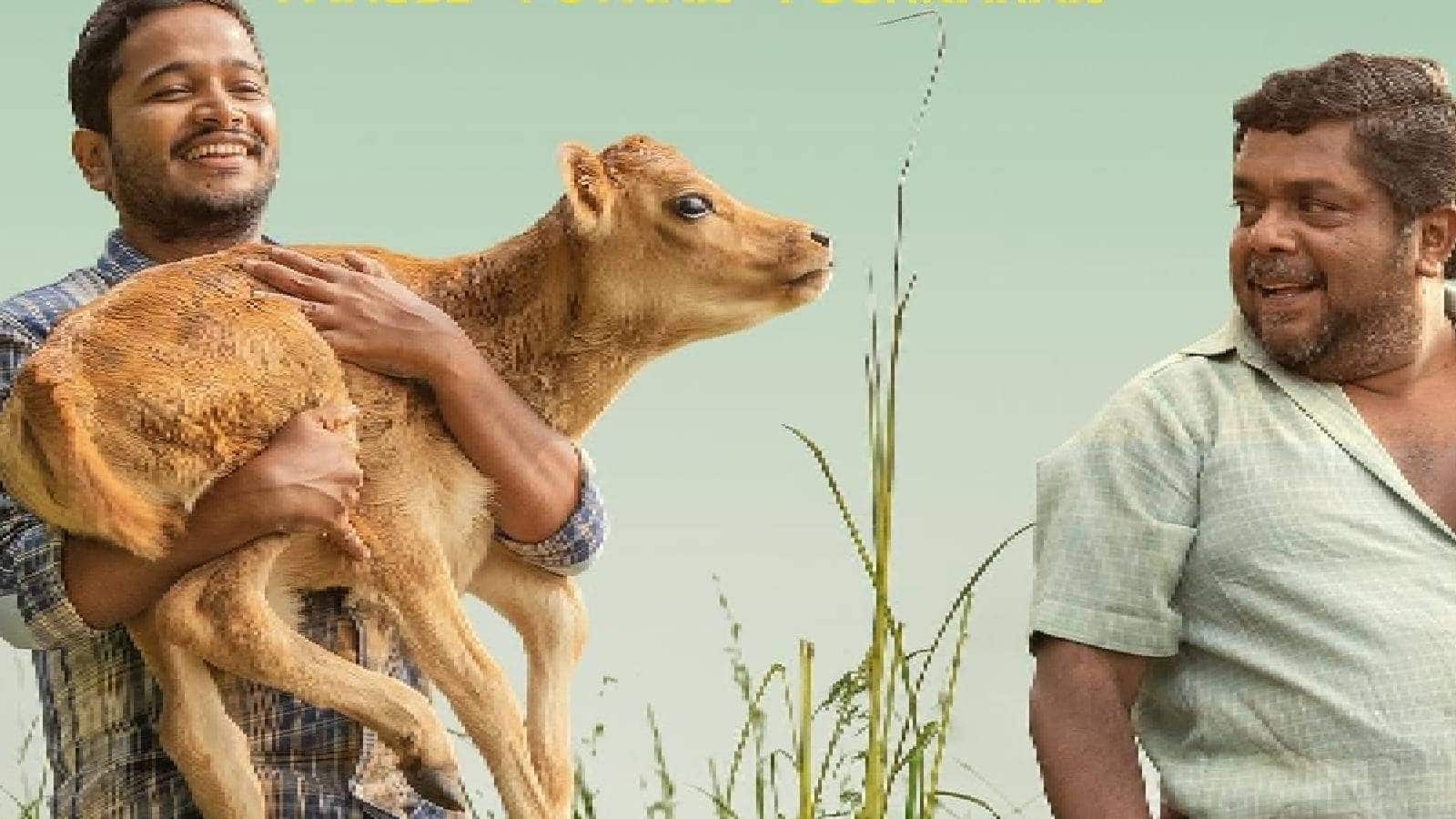 Palthu Janwar review | കാലിത്തൊഴുത്തിന്റെ ജീവൻ അറിഞ്ഞവൻ; നന്മ നിറഞ്ഞവ ...