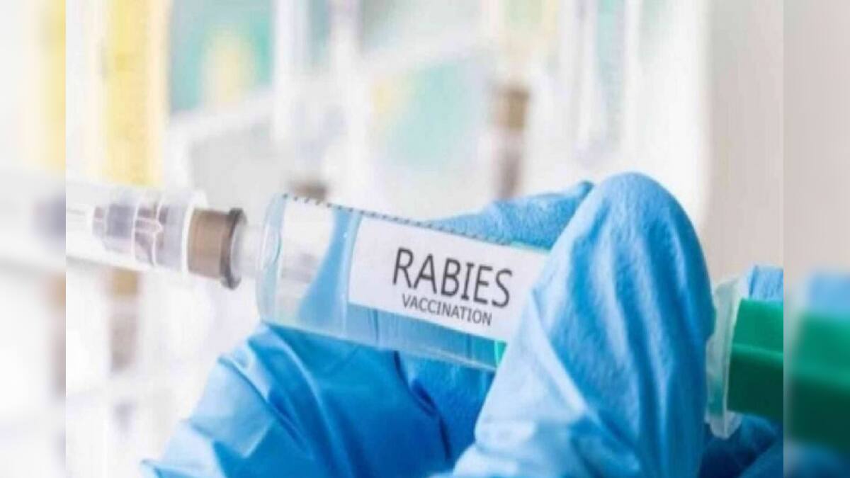 കറവപ്പശു ചത്തത് പേവിഷബാധ മൂലമെന്ന് സംശയം; തിരുവനന്തപുരം കല്ലറയില്‍ 29 ...