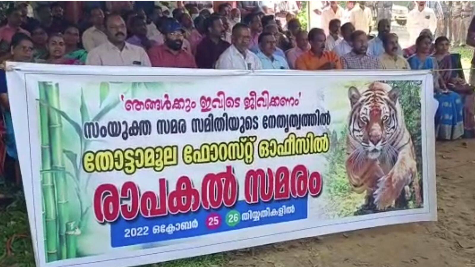 കടുവ നിറയും വയനാട്; ചീരാലിൽ ഒരു മാസമായി കടുവ കൊന്നത് ഒൻപത് പശുക്കളെ ...