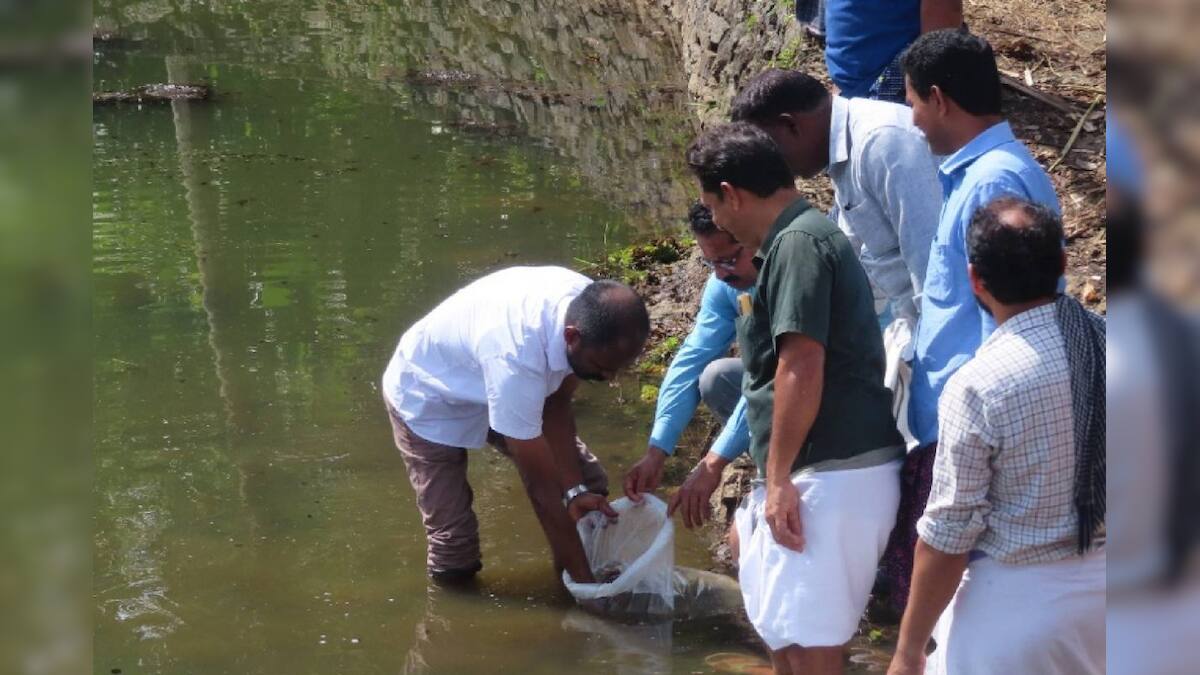 കേന്ദ്രത്തിന്റെ സ്വച്ഛഭാരത് പദ്ധതി; പായൽ നിറഞ്ഞ ചിറ ഇനി മീനുക ...