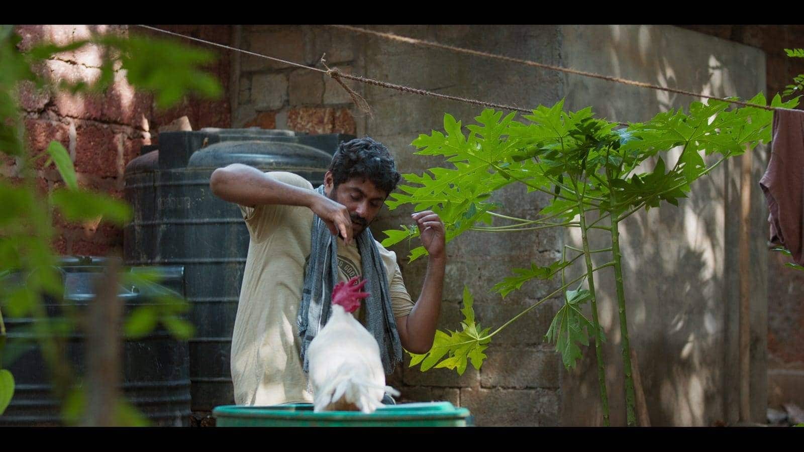 Poovan trailer | 'ഇതെന്തൊരു കോഴിയാ, ഒരു വ്യക്തിത്വമില്ലാത്തൊരു കോഴി ...