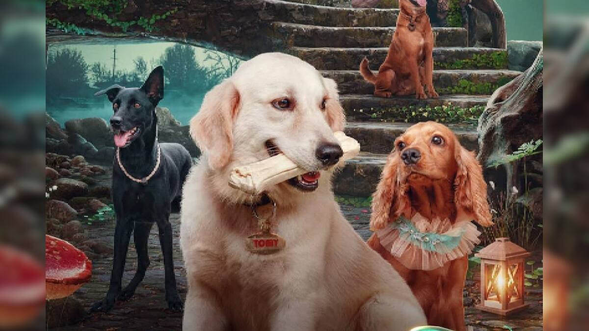 Valatti | വളർത്തുമൃഗങ്ങൾ പ്രധാന കഥാപാത്രങ്ങളാവുന്ന 'വാലാട്ടി ...