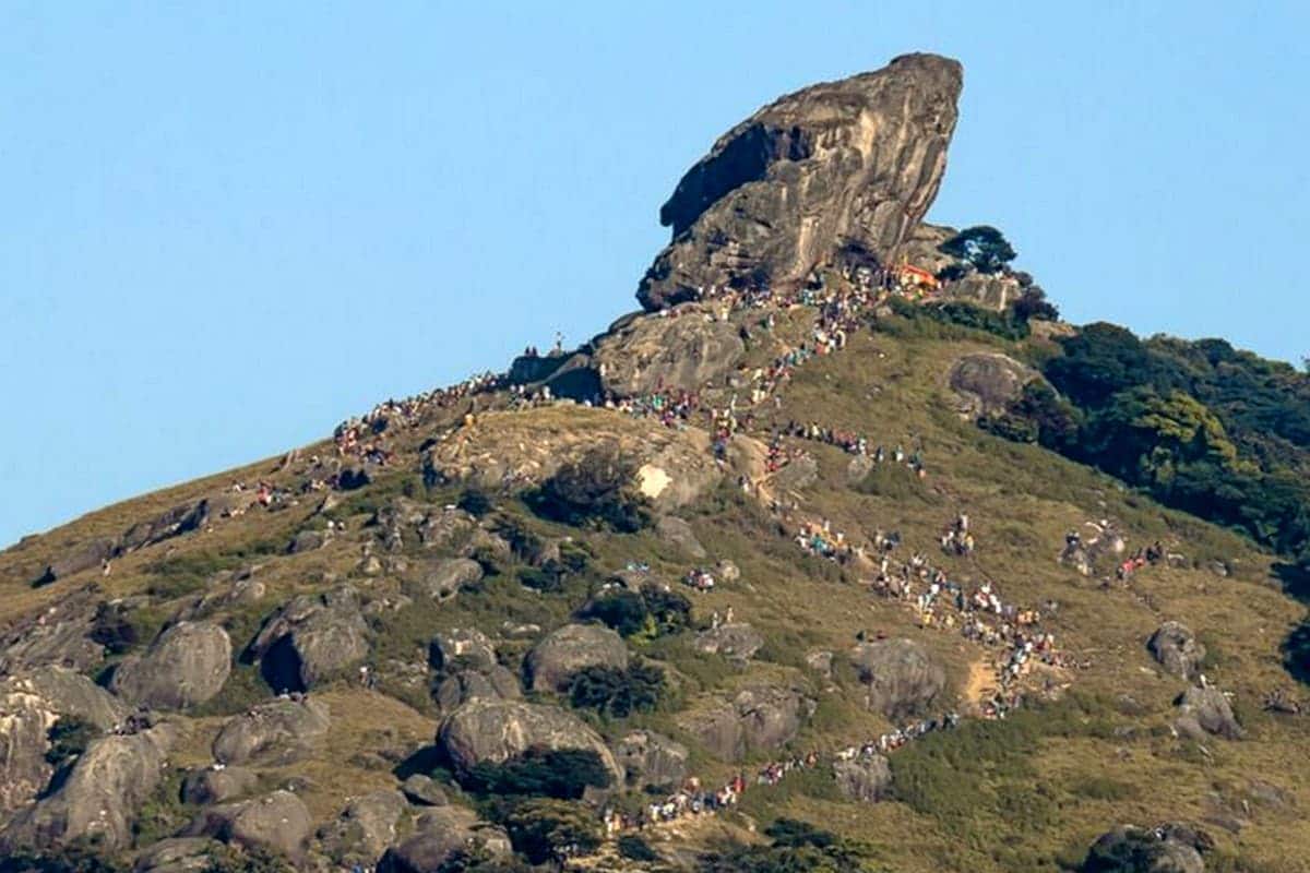 Velliangiri: കോയമ്പത്തൂര്‍ വെള്ളിയങ്കിരി മല കയറ്റം: 24 മണിക്കൂറിനിടെ ...